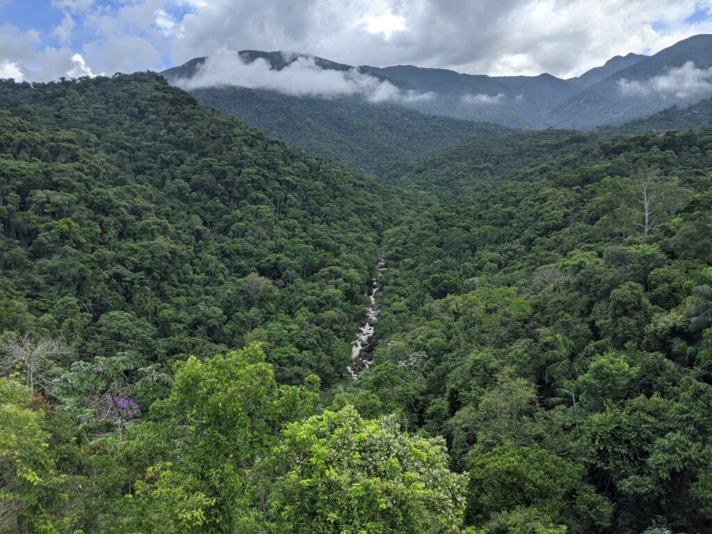 Parque Nacional do Itatiaia: tudo o que você precisa saber antes de visitar